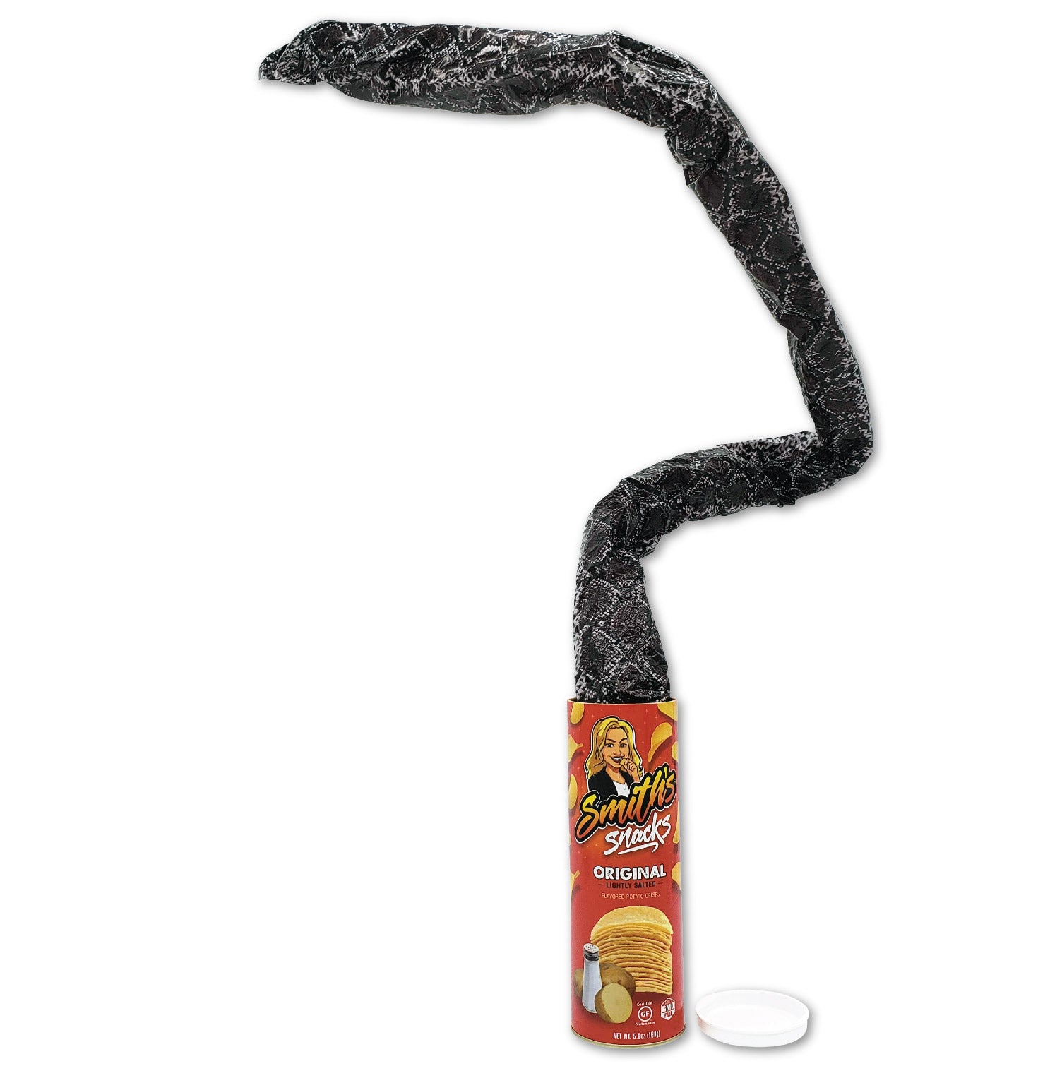 Snake in a Can Prank Gag - Smith's Snacks Potato Chip Can Snake Joke ...